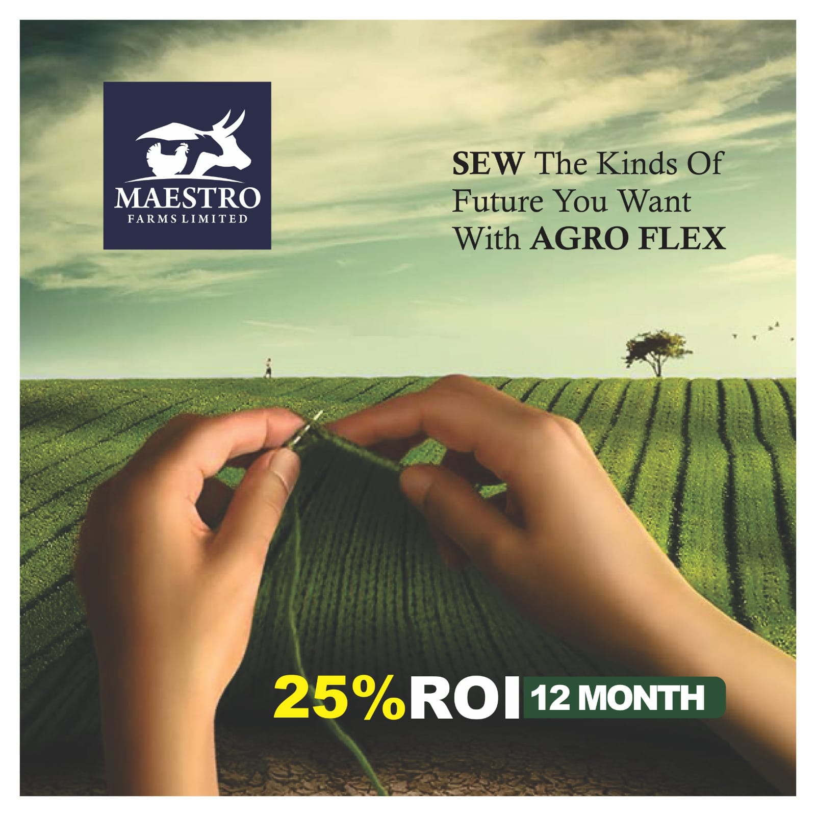 SEW the Kind of Future You Want with AGRO FLEX - MAESTRO FARMS LIMITED