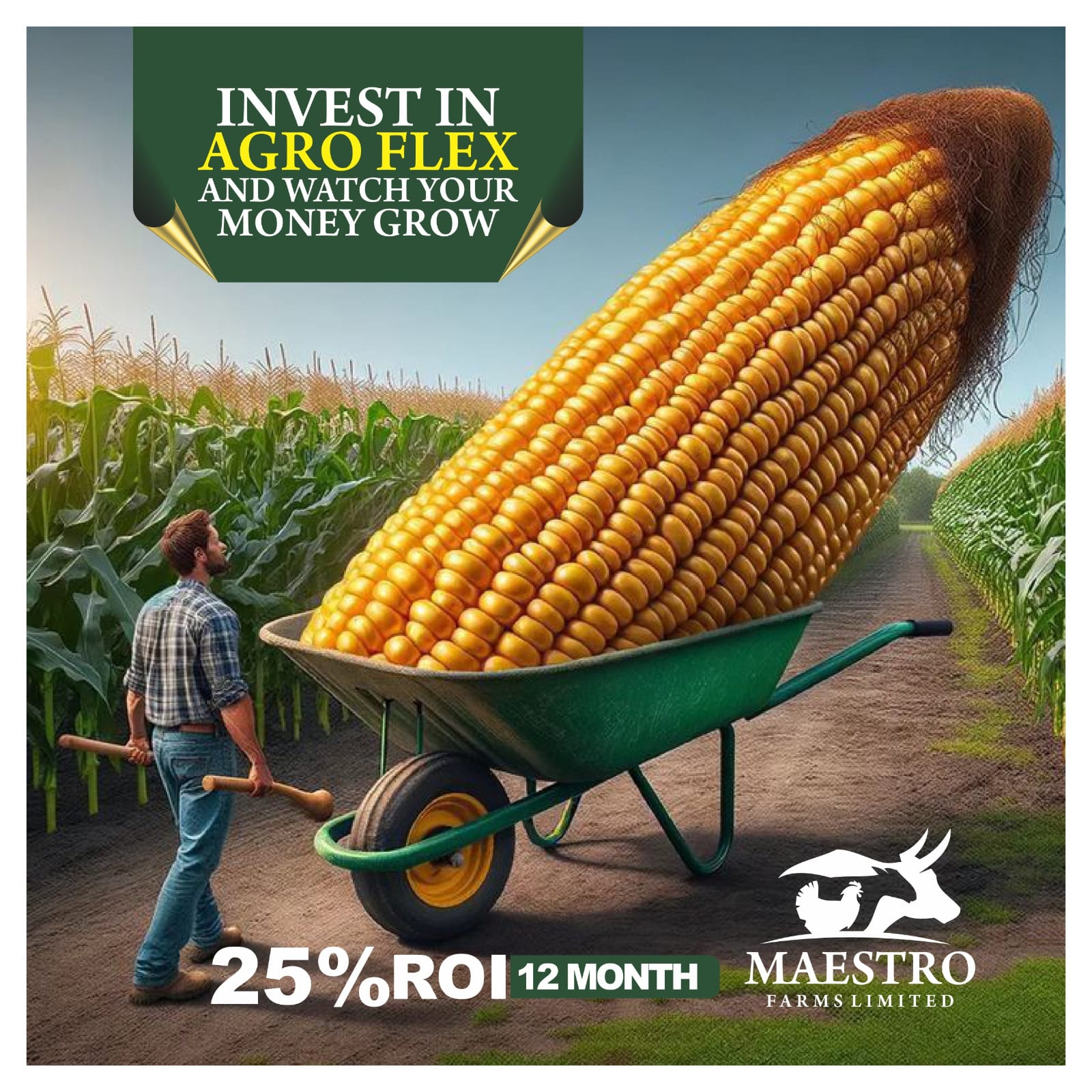 Invest in AGRO FLEX and Watch Your Money Grow - MAESTRO FARMS LIMITED