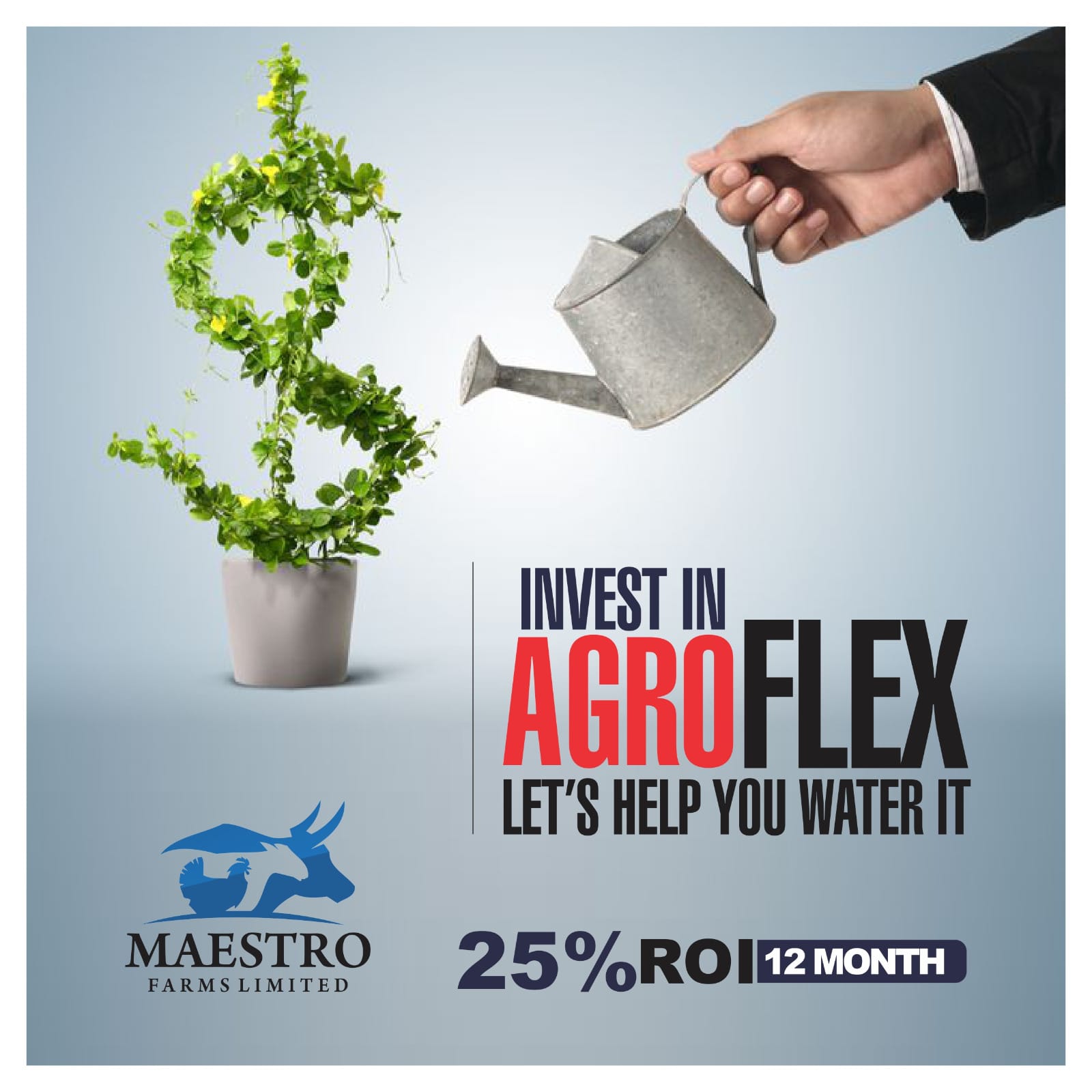 Investing Is an Act of Faith in the Future—AGRO FLEX Turns That Faith ...
