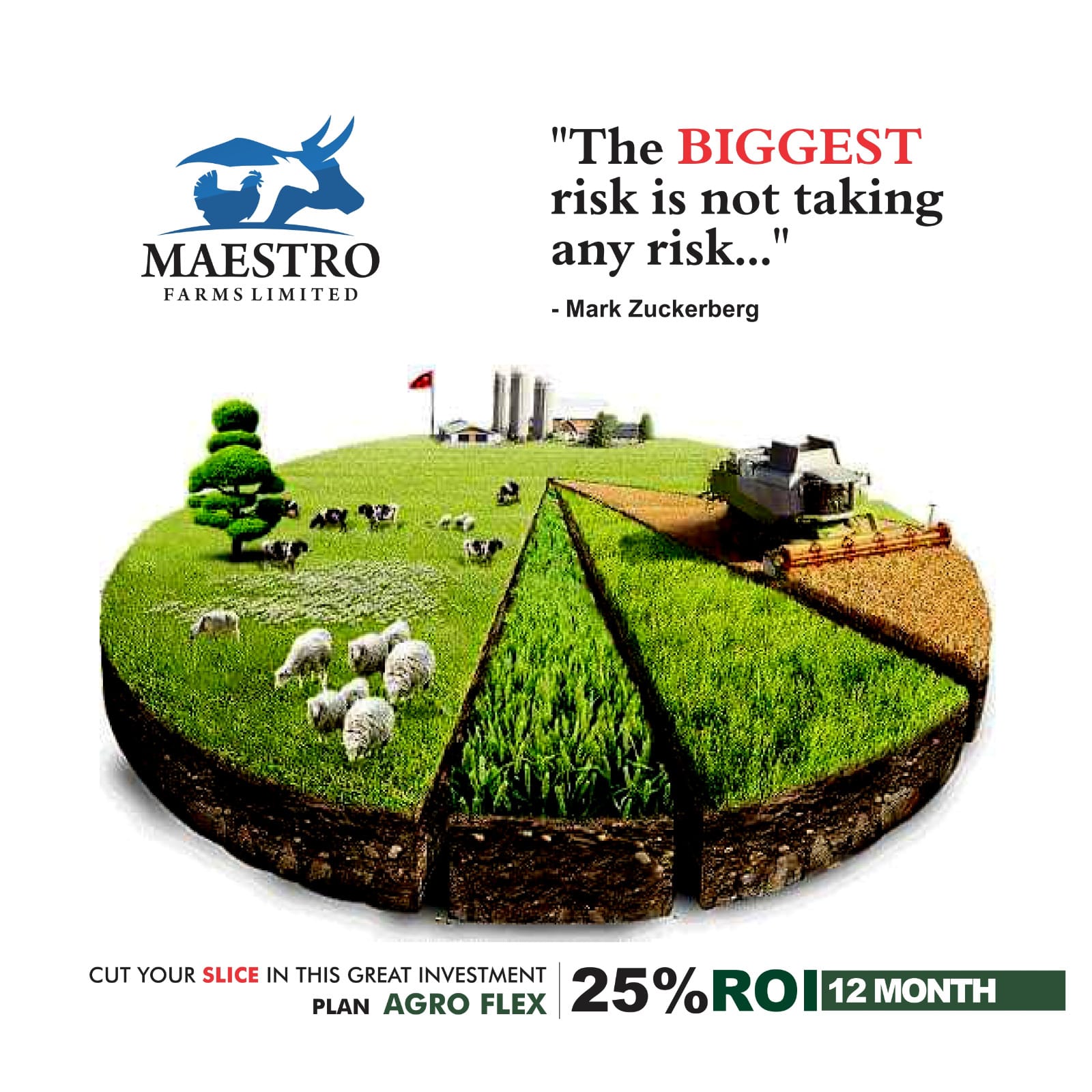 Get Your Own Slice of the Cake with AGRO FLEX Investment cake - MAESTRO ...