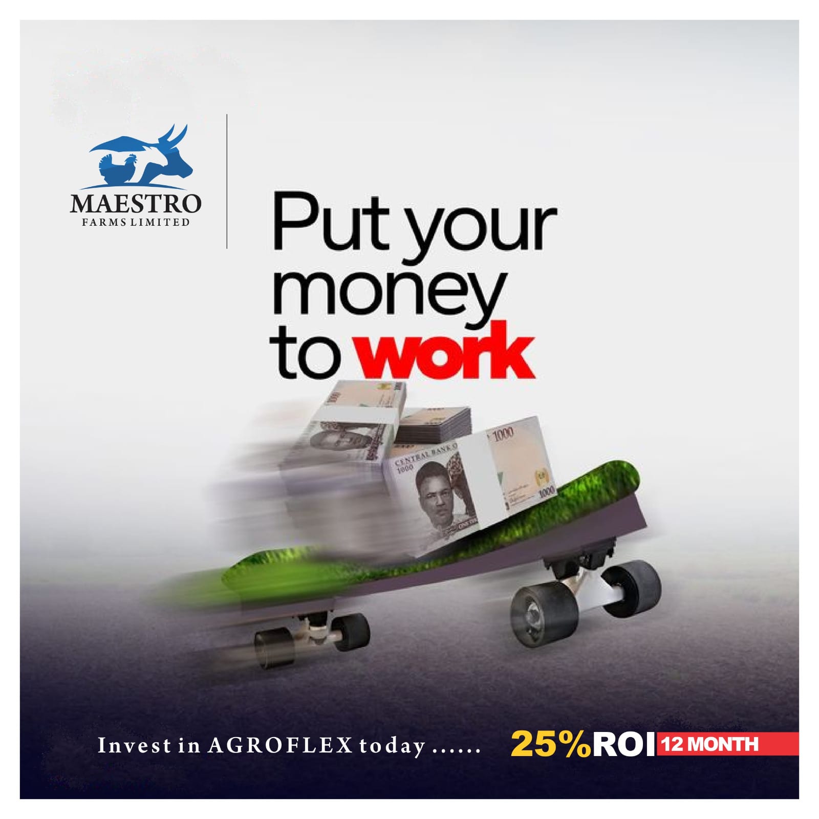 Put Your Money to Work with AgroFlex - MAESTRO FARMS LIMITED