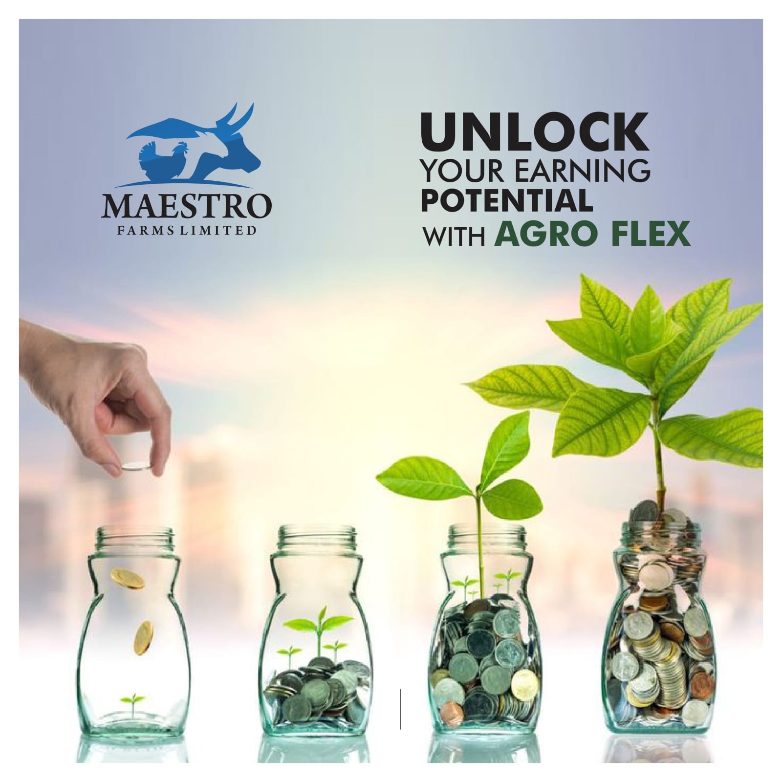 Unlock Your Earning Potential - MAESTRO FARMS LIMITED