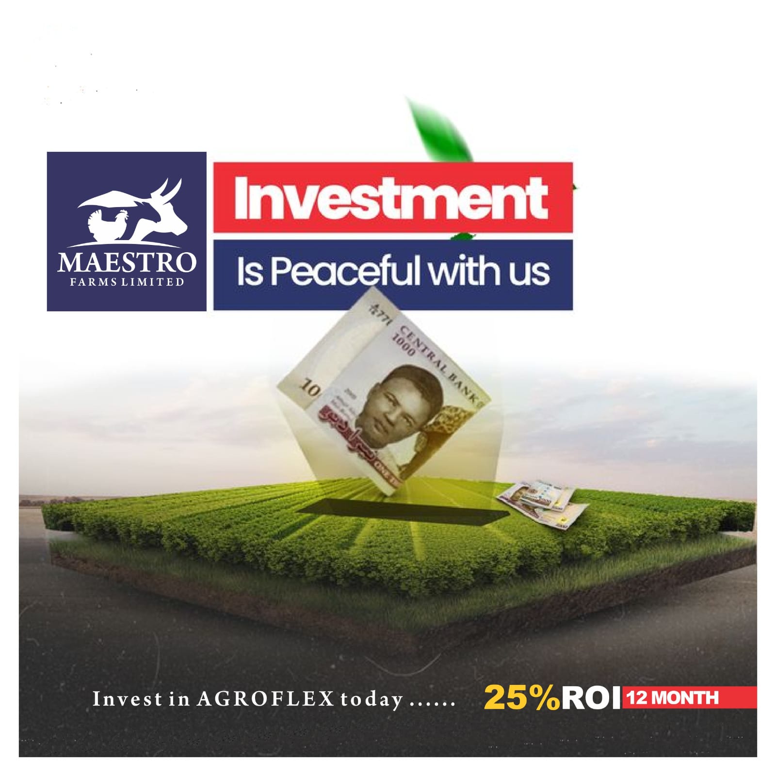 Investment is Peaceful with AgroFlex - MAESTRO FARMS LIMITED